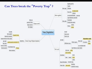 The role of trees in sustaining soil productivity in Sub-Saharan Africa ...