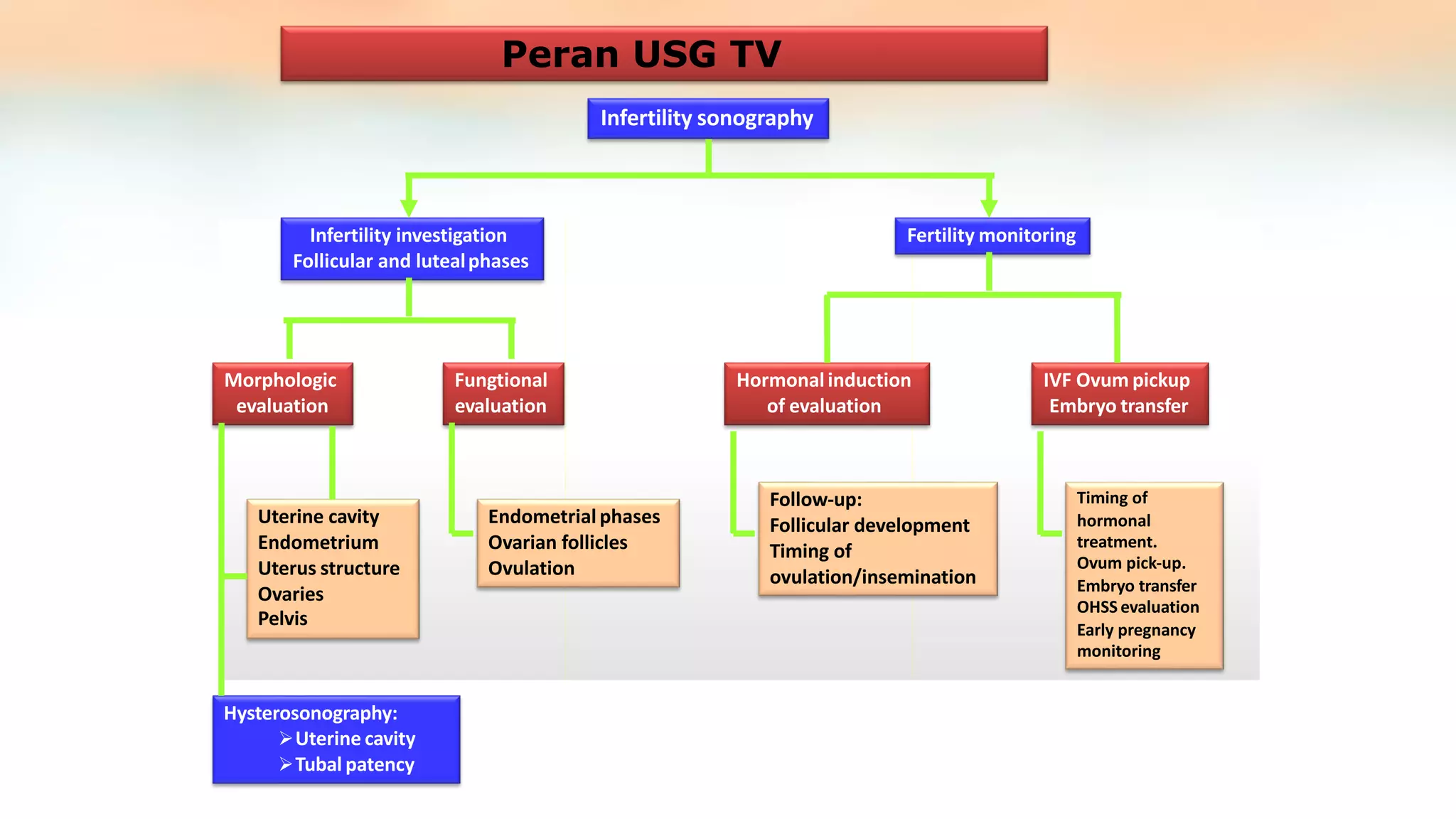 The role of usg tv examination for infertility patient | PPT
