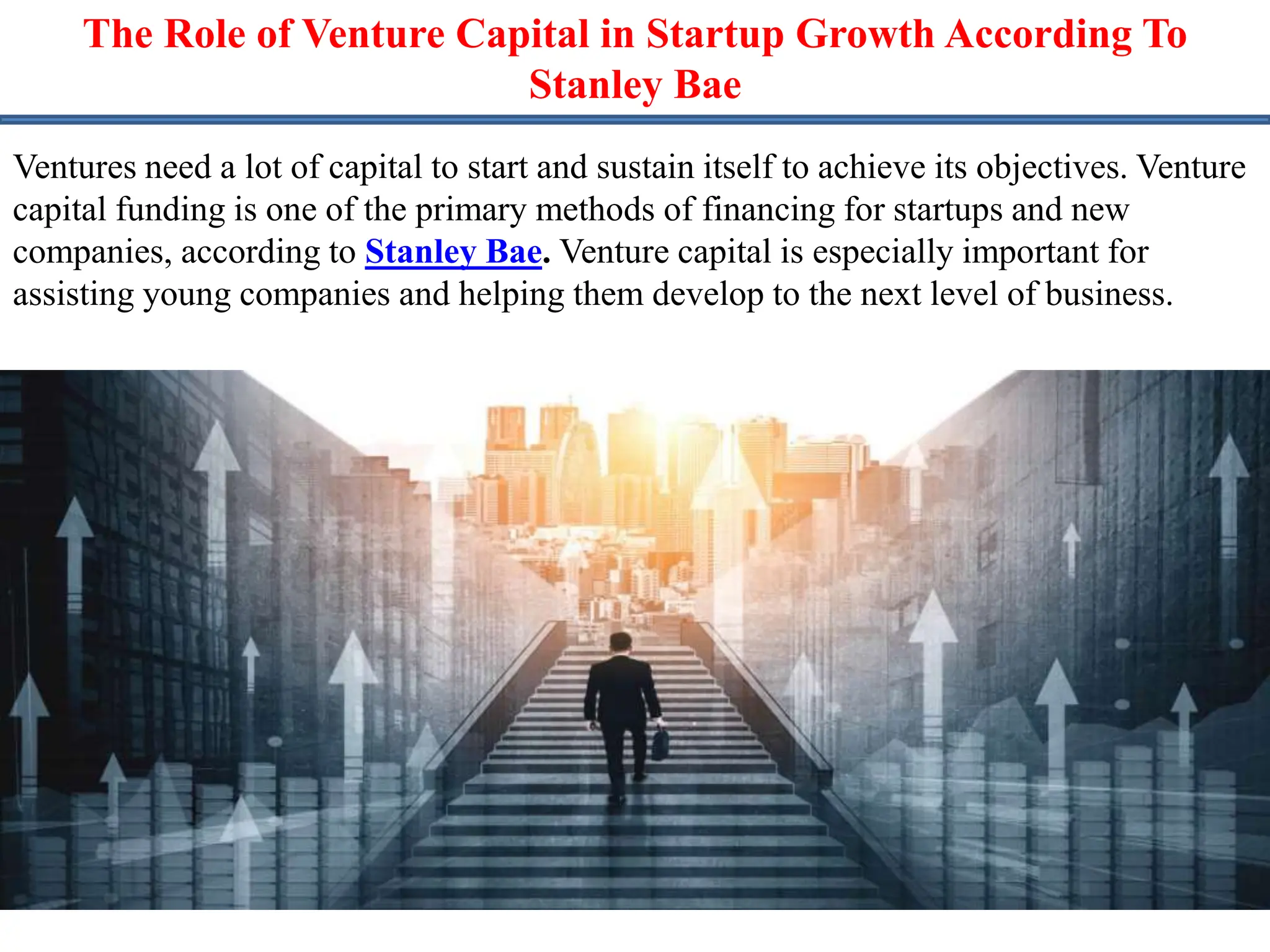 The Role of Venture Capital in Startup Growth According To Stanley Bae.pptx