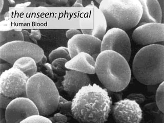 The Role of Visual Representations in the Learning of Mathematics | PPTX