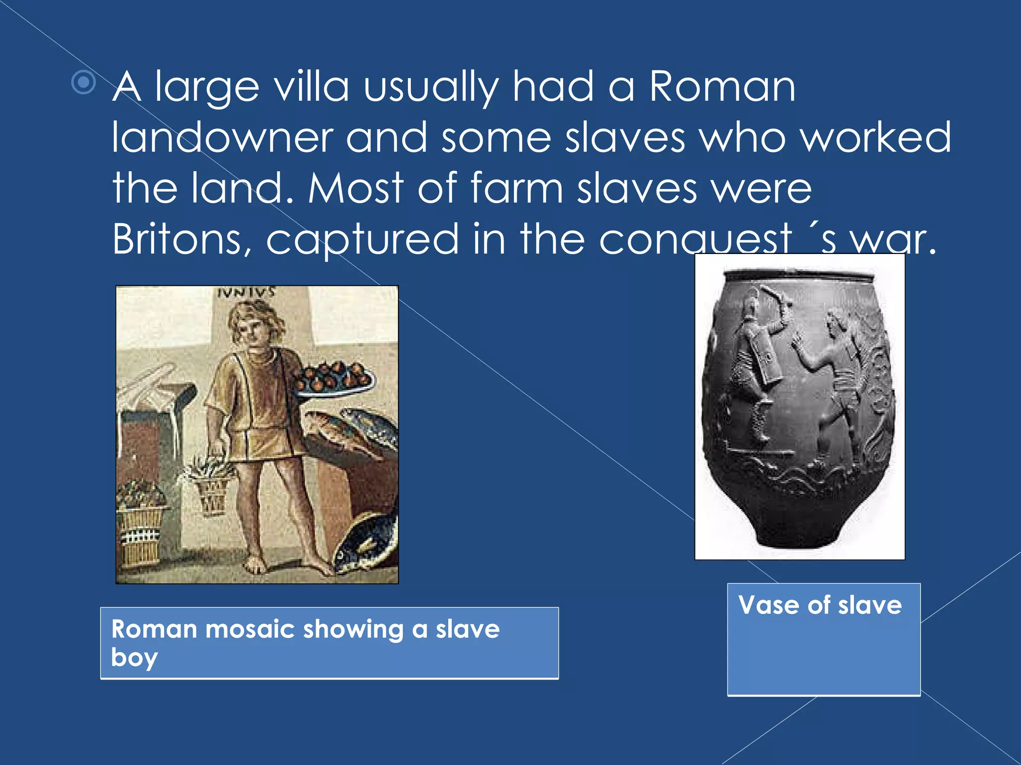 The roman Britain's life | PPT
