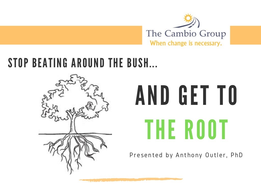 The Root the-root