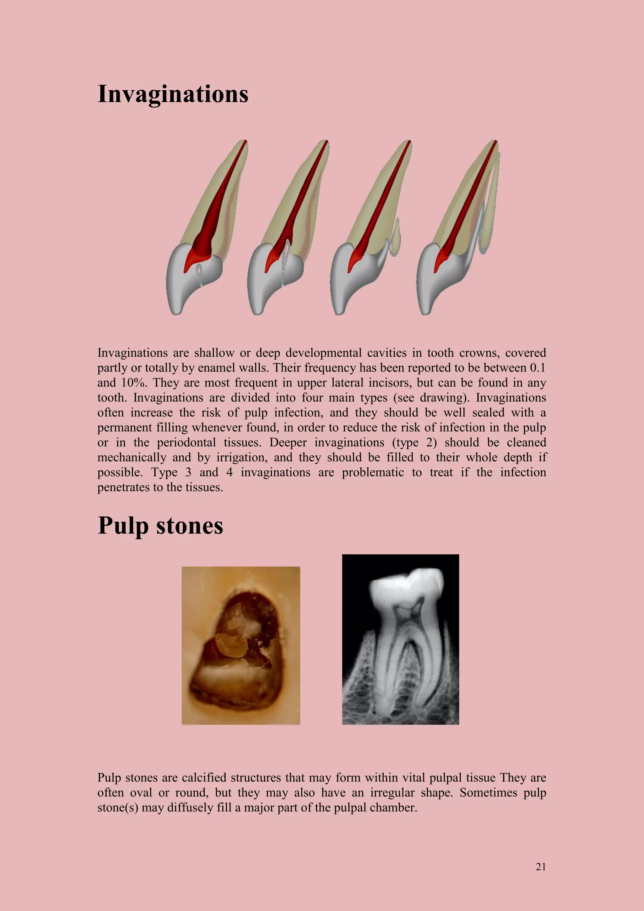 Root Canal Morphology | PDF