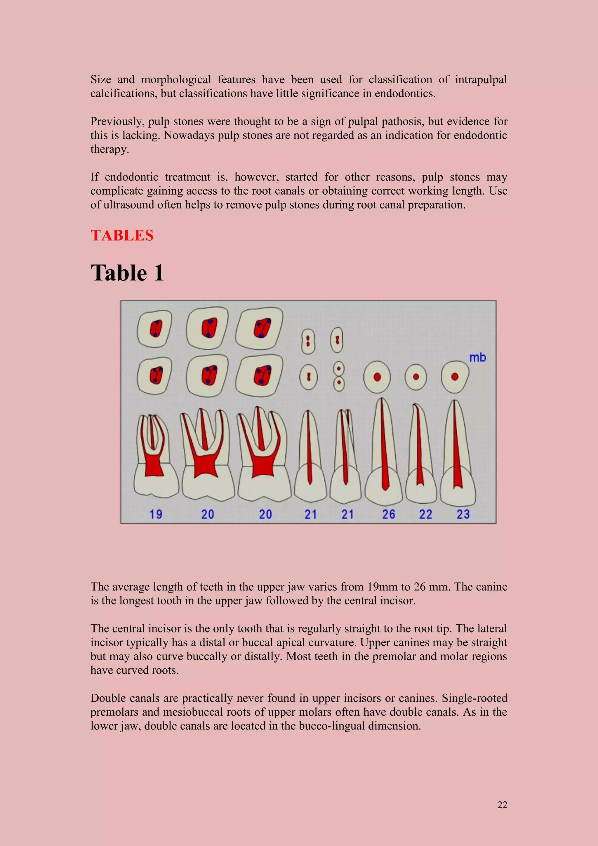 Root Canal Morphology | PDF