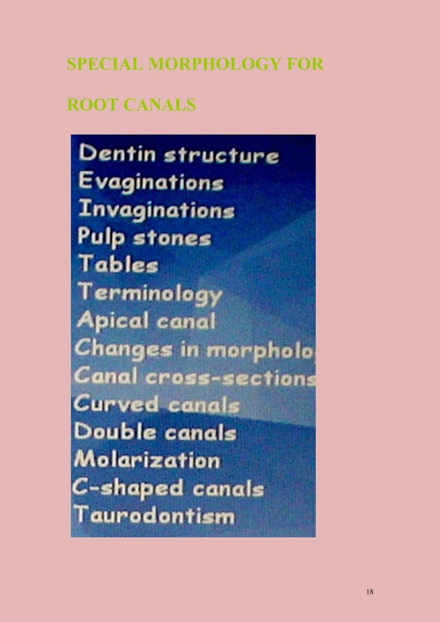 Root Canal Morphology | PDF