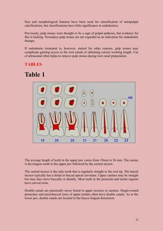 Root Canal Morphology | PDF
