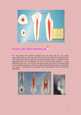Root Canal Morphology | PDF