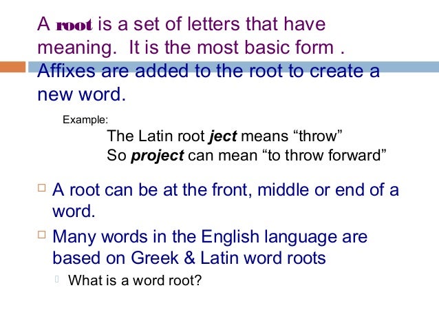 The roots of vocabulary