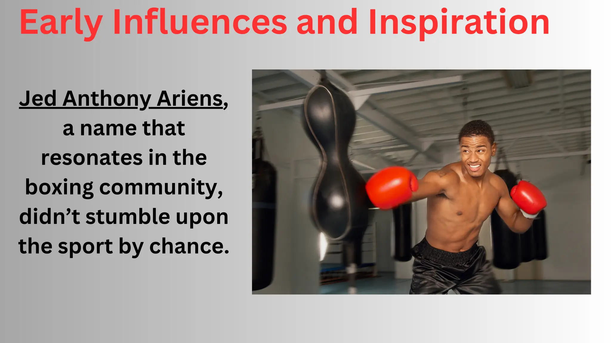 The Ropes Of Boxing Insights | PDF