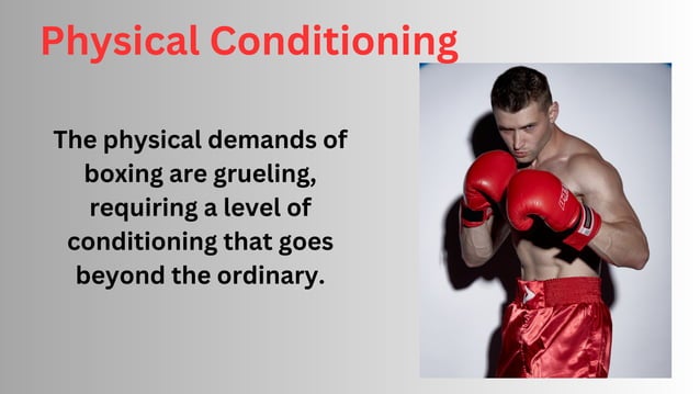 The Ropes Of Boxing Insights | PDF