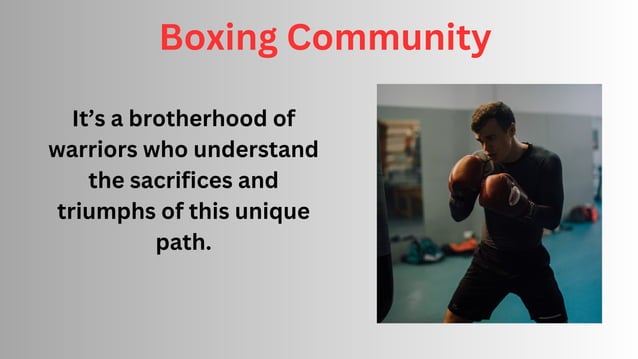 The Ropes Of Boxing Insights | PDF