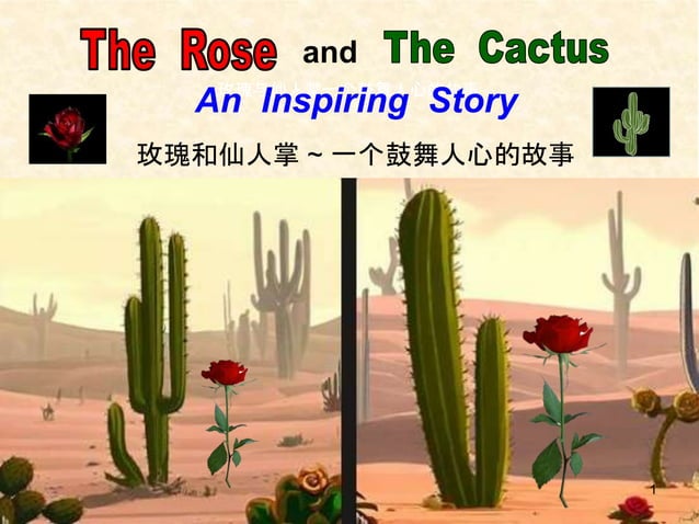 The Rose and The Cactus - An Inspirational Story (Eng. & Chi.).pptx ...