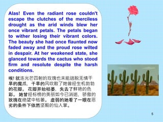 The Rose and The Cactus - An Inspirational Story (Eng. & Chi.).pptx