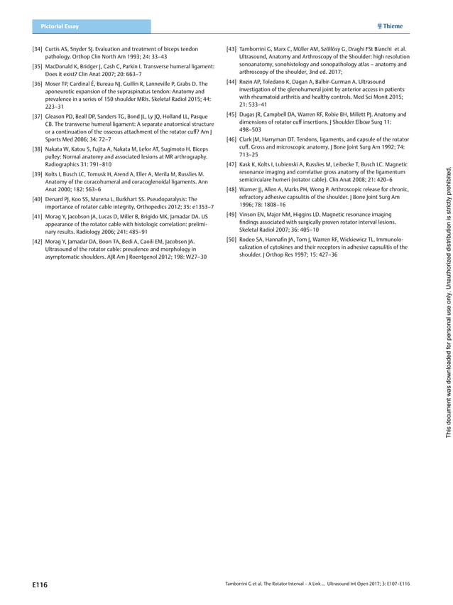 The Rotator Interval A Link Between Anatomy and Ultrasound.pdf