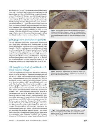 The Rotator Interval A Link Between Anatomy and Ultrasound.pdf