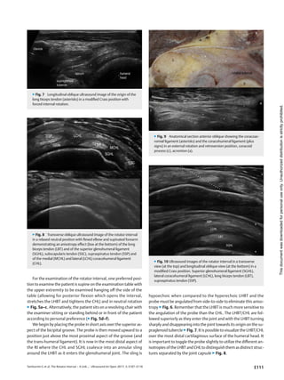 The Rotator Interval A Link Between Anatomy and Ultrasound.pdf