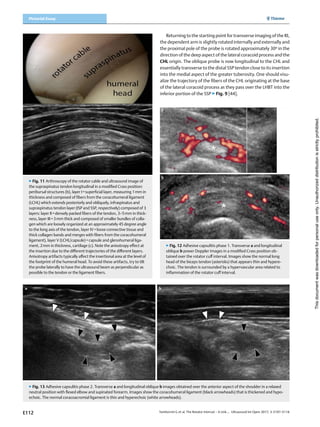 The Rotator Interval A Link Between Anatomy and Ultrasound.pdf