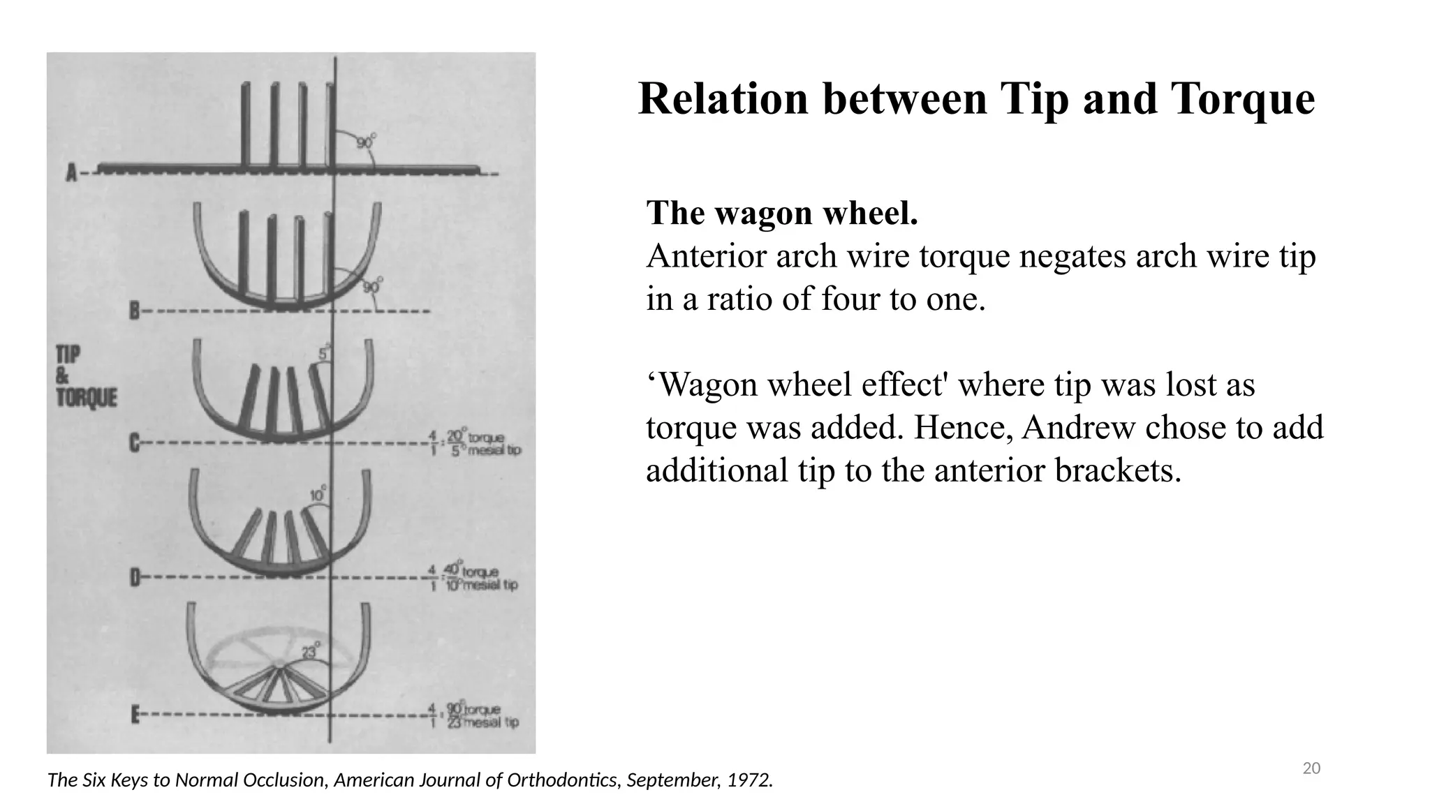 The Roth Philosophy and Prescription.pptx