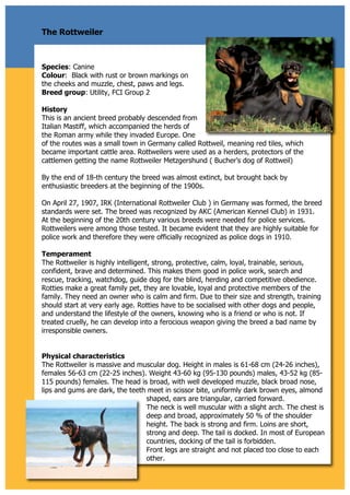 The rottweiler | PDF