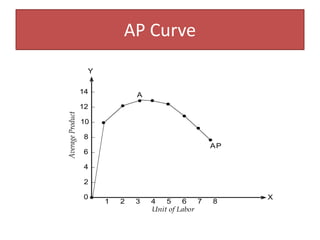 Theroy of Production.pptx