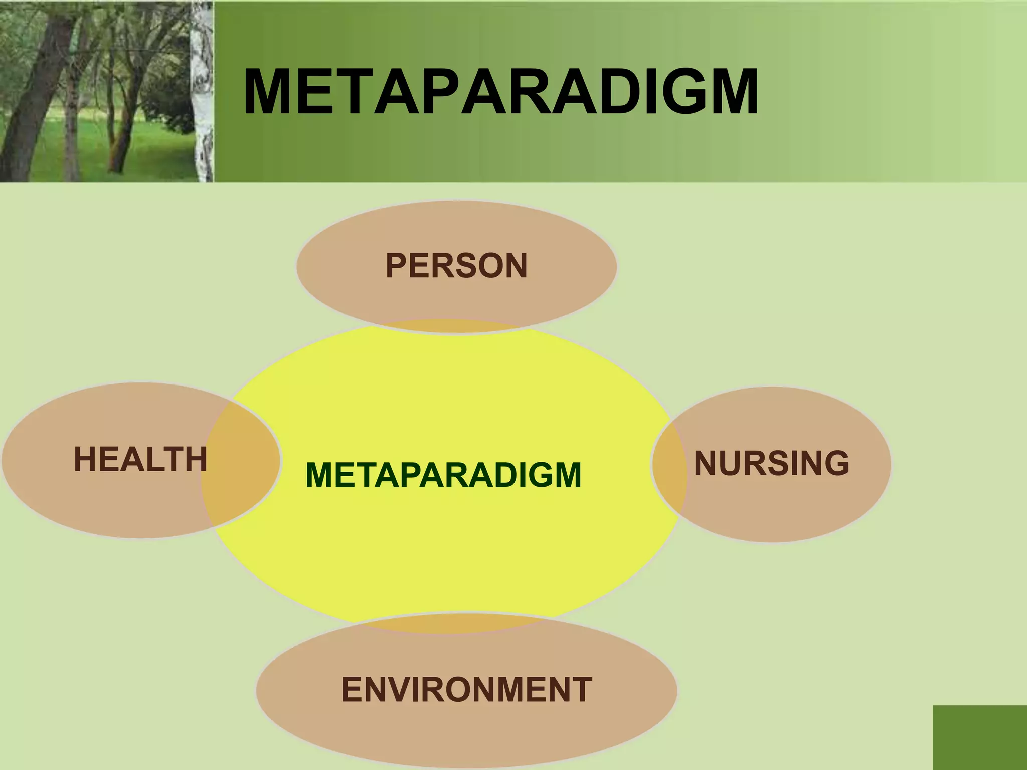 THE ROY’S ADAPTATION MODEL OF NURSING.pptx