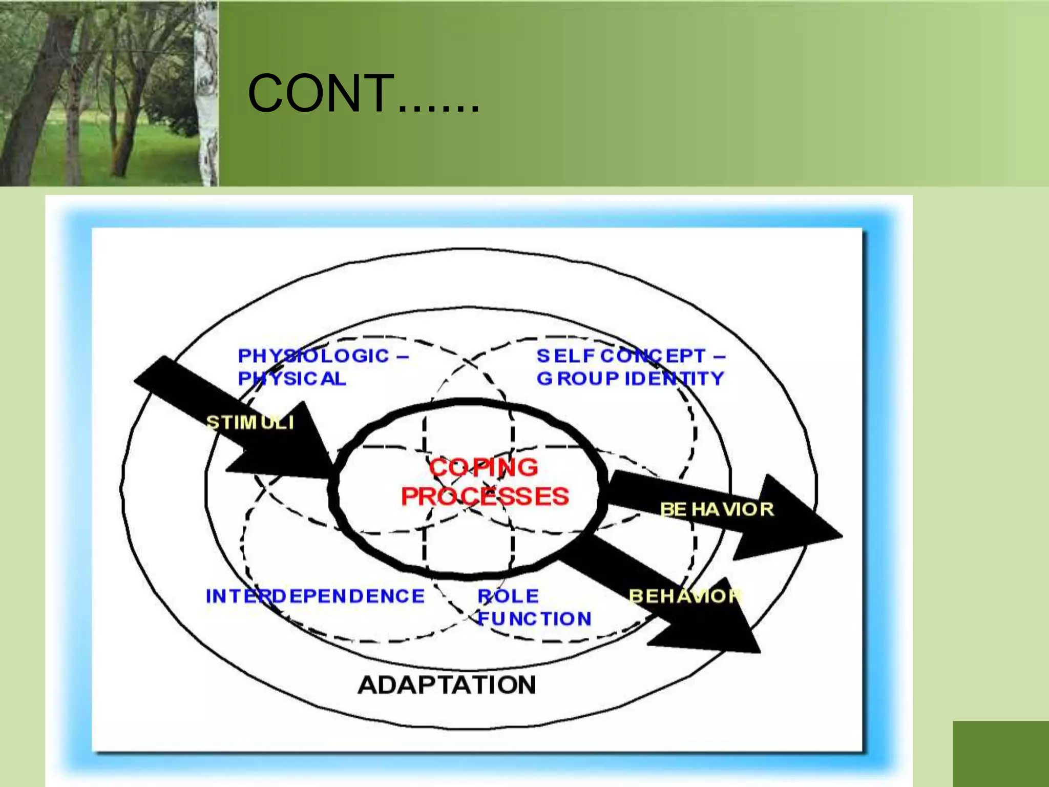 THE ROY’S ADAPTATION MODEL OF NURSING.pptx