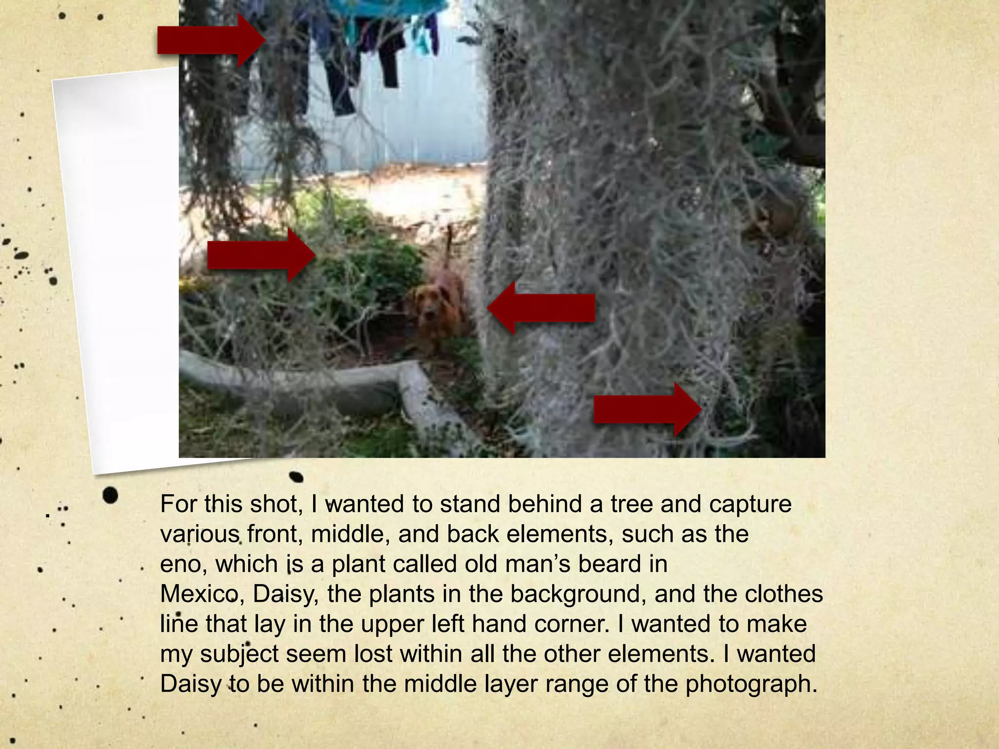 The Rules of Composition | PPT