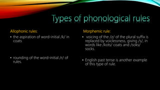 The rules of phonology | PPTX