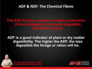 The rumen and the (tmr) wagon part ii | PPT