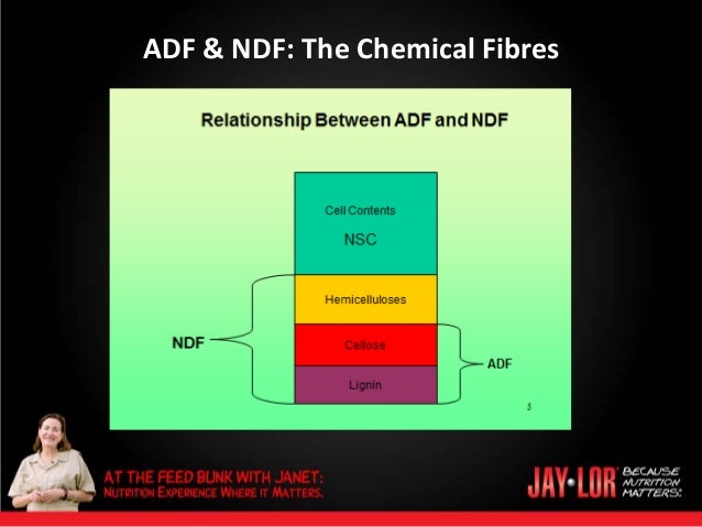The rumen and the (tmr) wagon part ii