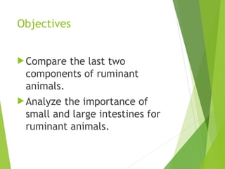 The Ruminant Digestive System (Ruminants).ppt