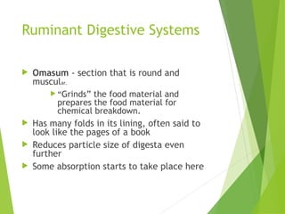 The Ruminant Digestive System (Ruminants).ppt