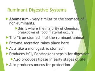 The Ruminant Digestive System (Ruminants).ppt