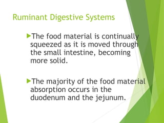 The Ruminant Digestive System (Ruminants).ppt