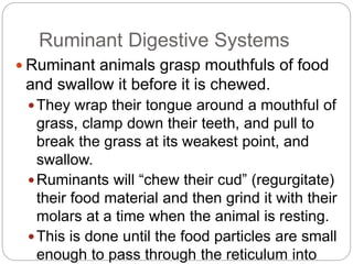 TheRuminantDigestiveSystemDay2.ppt