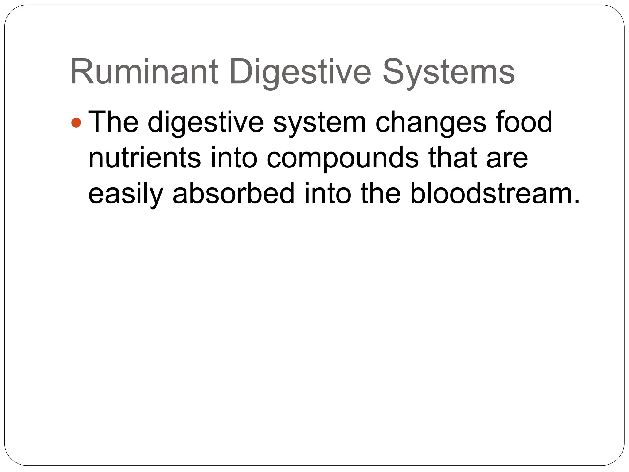 The Ruminant Digestive System INCLUDES EVERYTHING YOU NEED TO KNOW ...