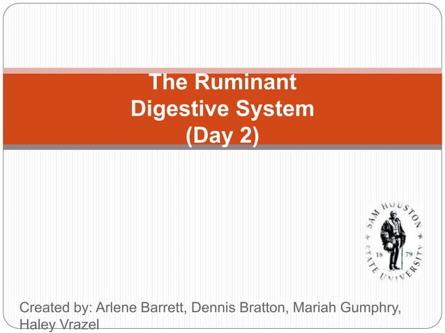 The Ruminant Digestive System INCLUDES EVERYTHING YOU NEED TO KNOW ...