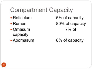 The Ruminant Digestive System INCLUDES EVERYTHING YOU NEED TO KNOW ...