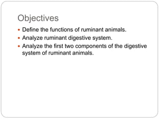 The Ruminant Digestive System INCLUDES EVERYTHING YOU NEED TO KNOW ...