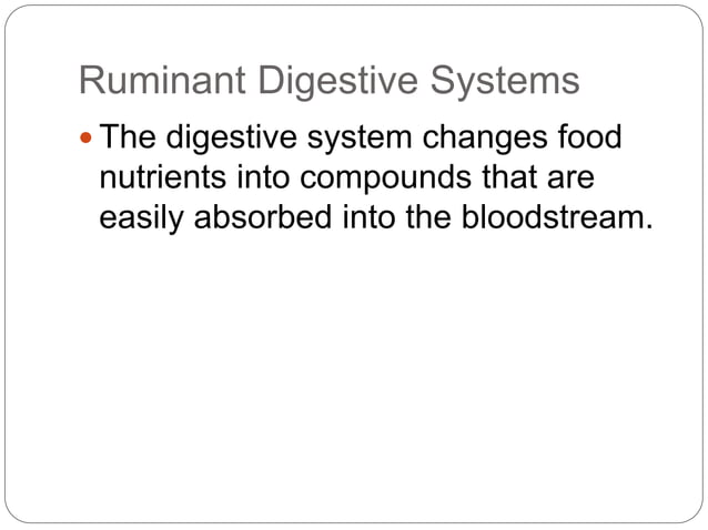 The Ruminant Digestive System INCLUDES EVERYTHING YOU NEED TO KNOW ...