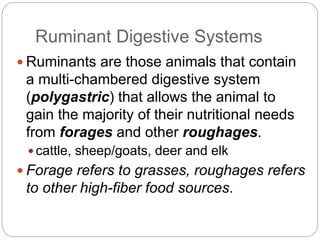 The Ruminant Digestive System INCLUDES EVERYTHING YOU NEED TO KNOW ...