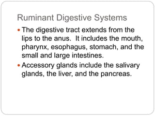 The Ruminant Digestive System INCLUDES EVERYTHING YOU NEED TO KNOW ...