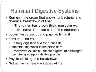 The ruminants digestion carbohydrates and protein and fat ...