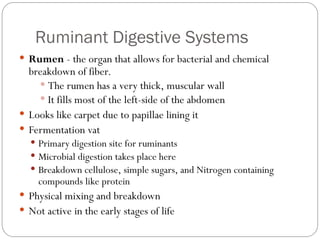 TheRuminantDigestiveSystem Lesson in Life Science for Grade 11 | PPT