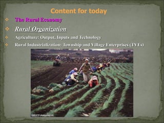 The Rural Organization | PPT