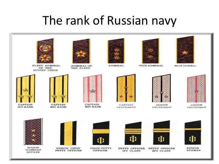 The russian navy