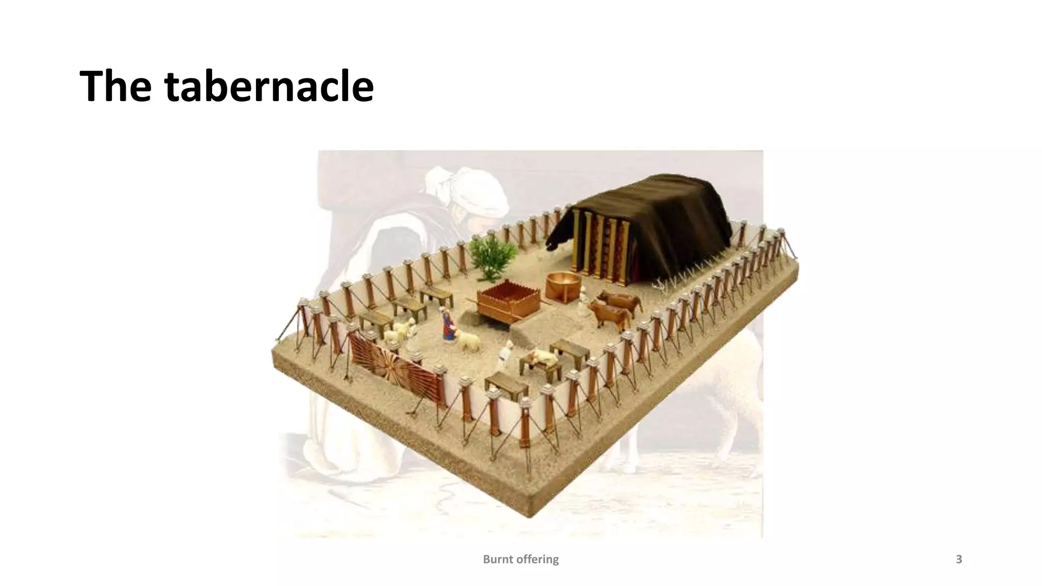 The sacrifices peace offering | PPT