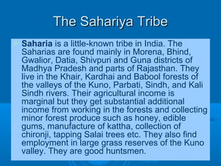 The sahariya tribe | PPT