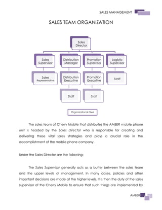 The Sales Plan (AMBER - Cherry Mobile Phone Unit) | PDF