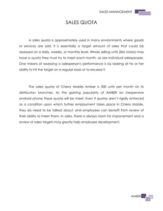 The Sales Plan (AMBER - Cherry Mobile Phone Unit) | PDF